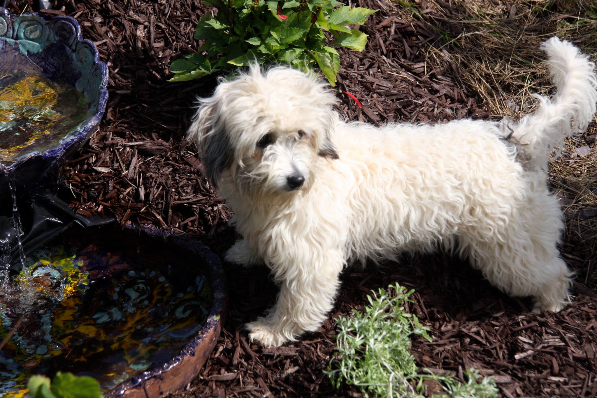 Biography | jeremyirons.net