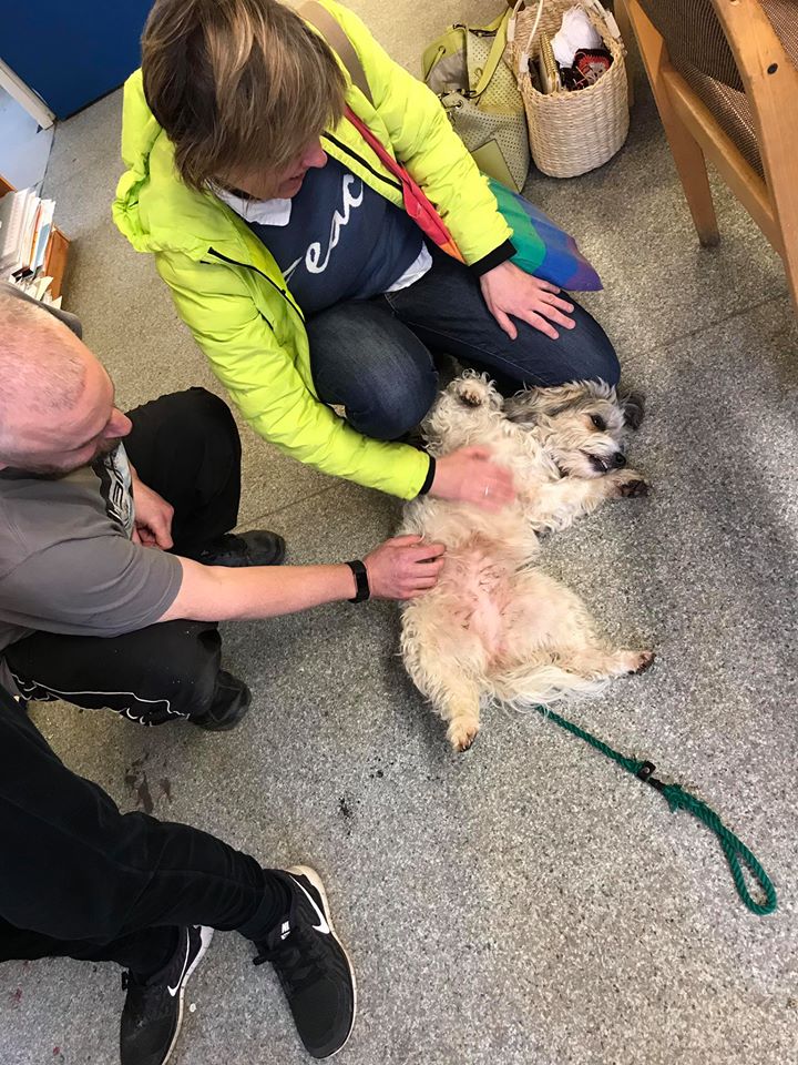 restore4 | jeremyirons.net