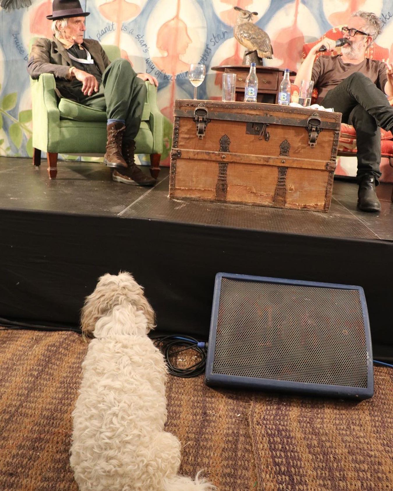 Jeremy Irons Attends Borris Festival of Writing and Ideas 2023 ...